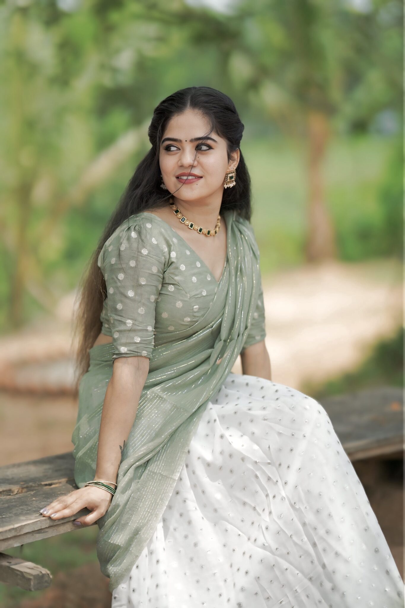 Elegant Dhavani Set - Chinkaari Collections