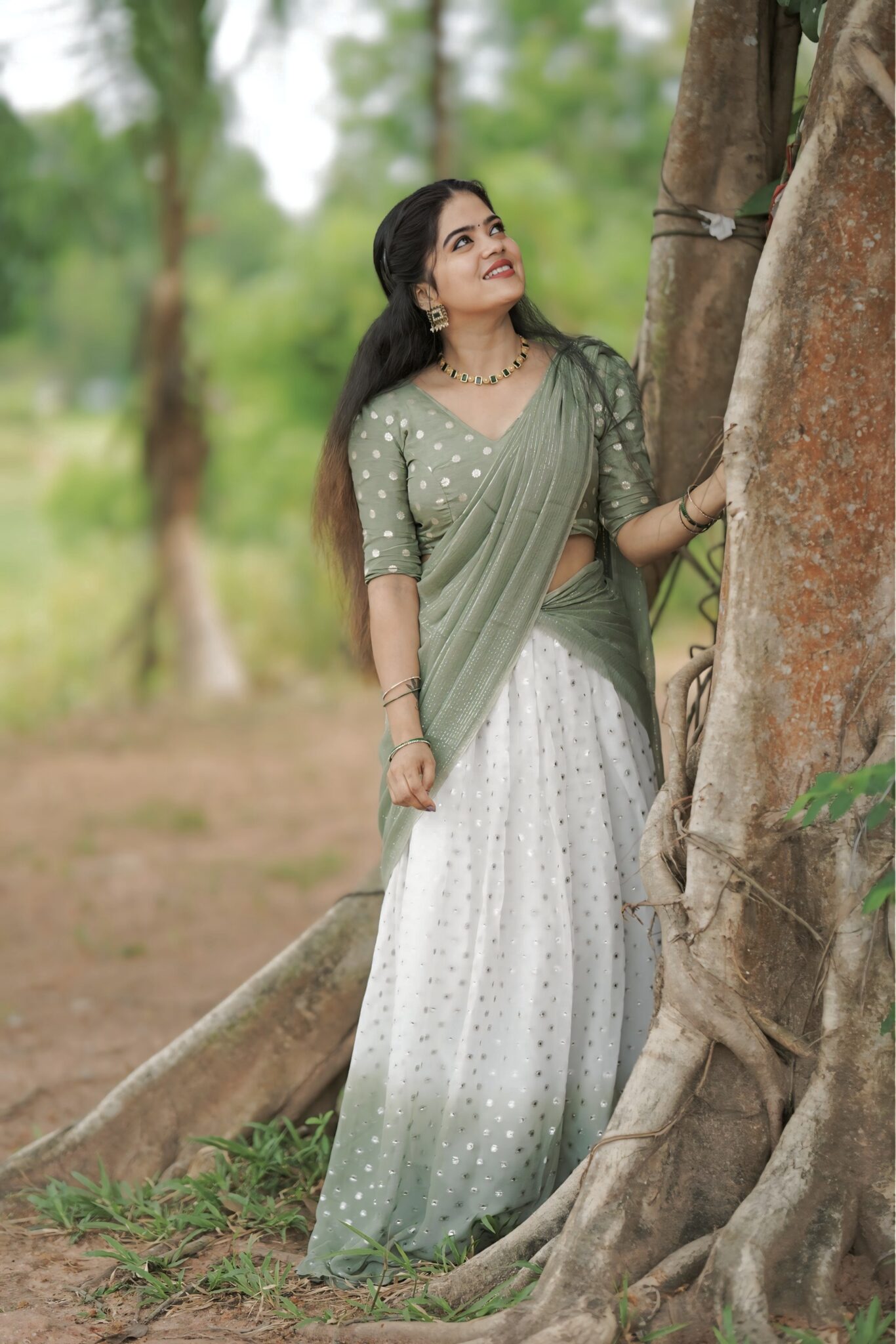 Elegant Dhavani Set - Chinkaari Collections