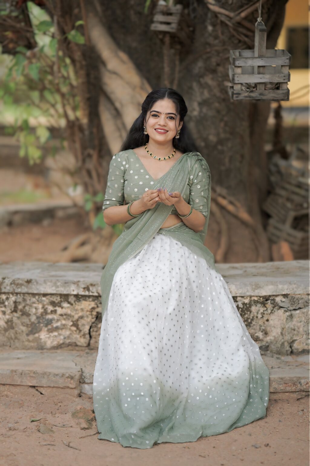 Elegant Dhavani Set - Chinkaari Collections